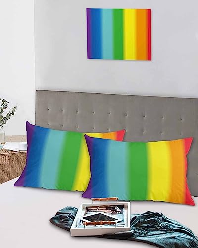 Edwiinsa Rainbow Stripes Pillow Covers King Standard Set of 2 Bed Pillow, Modern Colorful Striped Aesthetics Plush Soft Comfort for Hair/Skin Cooling Pillowcases with Envelop Closure 20''x36''