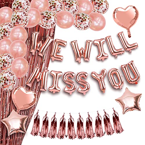 Farewell Decorations Party Going Away Party Decorations for Coworker We Will Miss You Decorations We Will Miss You Balloon Banner Goodbye Party Decorations Farewell Banner Bon voyage Party Decorations