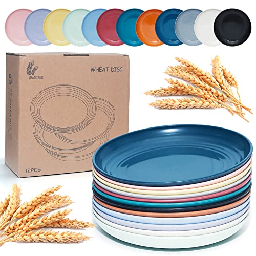 DAPIPIK 12 PACK 7 Inch Lightweight Mini Wheat Straw Plates, Unbreakable Sturdy Plastic Dinner Plates, Assorted Colors Dinnerware Sets, Microwave & Dishwasher Safe/Kids-toddler & Adult