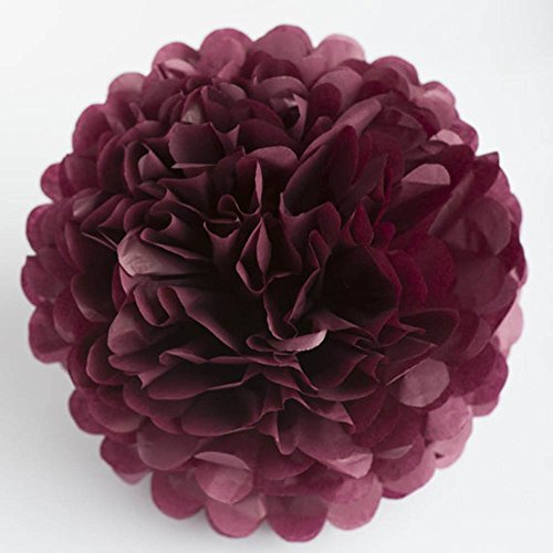 Sogorge Bridal Shower Decorations 18pcs Burgundy Pink Gold Birthday Decorations Tissue Paper Pom Pom and Paper Lanterns Photo Backdrop Wedding/Bachelorette Party Decorations