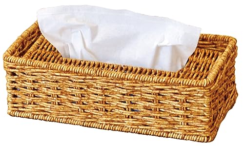 KI Japan 168447 Lulu Basket Tissue Case, Brown, W 10.0 x D 5.5 x H 3.5 inches (25.5 x 14 x 9 cm)