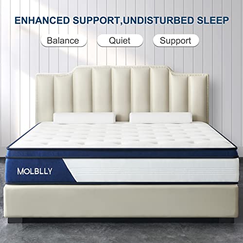 Molblly King Mattress,10 Inch Innerspring Mattress in a Box,Ultimate Motion Isolation Individually Wrapped Pocket Coils Mattress,Pressure Relief,Back Pain Relief, Cool King Bed, 10 Years Support
