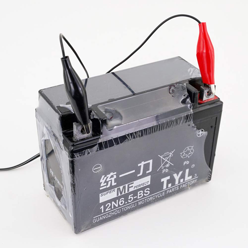 Quayub Universal Portable Car Motorcycle ATV DC 12V/1.2A 15W Smart Fast Rechargeable Battery Charger Tender Maintainer