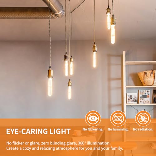 T10 LED Bulbs Warm White 3000K Clear Glass Tubular Edison Bulb dimmable E26 6W Equal 60 watt Light Bulb Warm White Light Bulbs 600LM Tubular for Rustic Pendant,Chandeliers,Wall sconces,Vanity . (8)