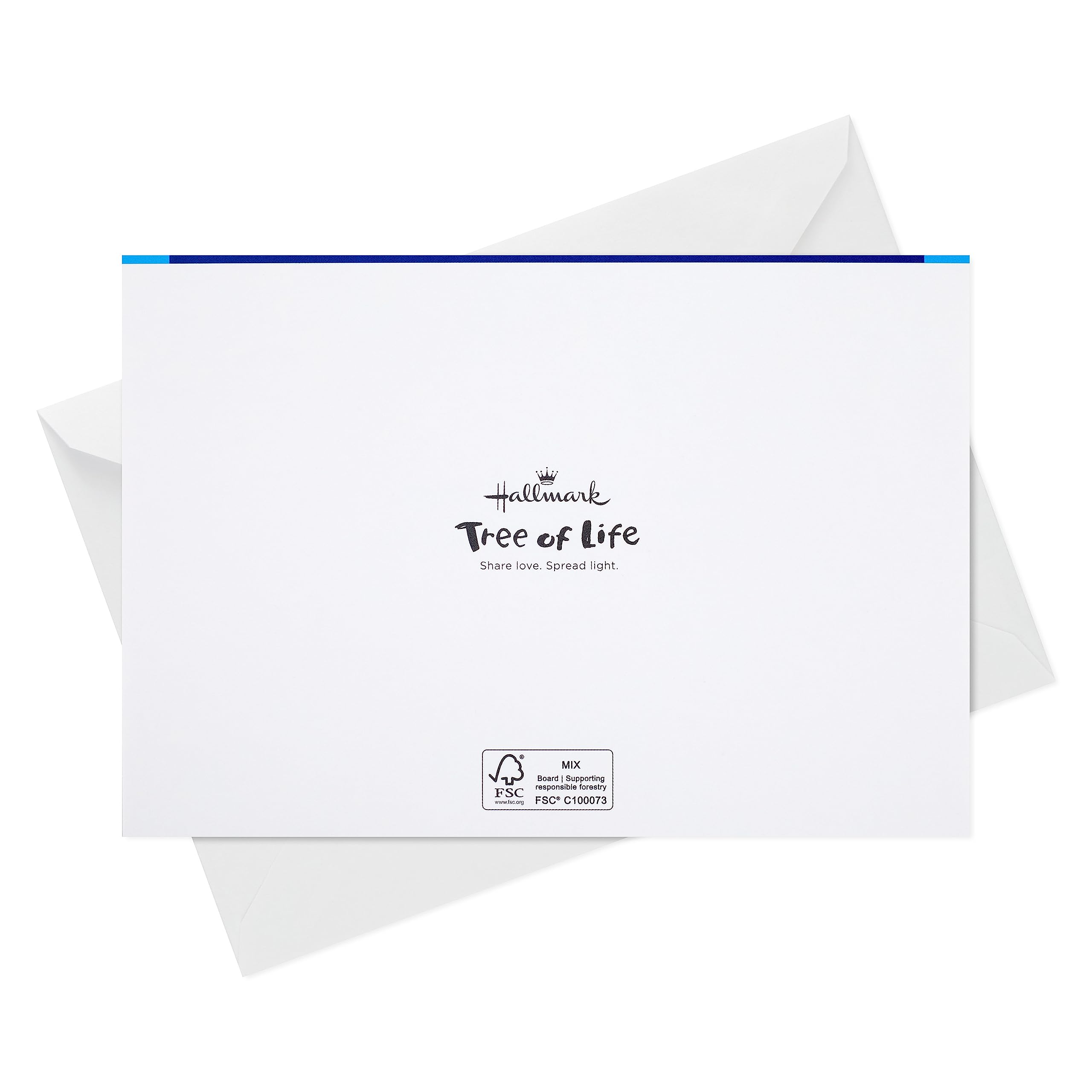 Hallmark Tree of Life Hanukkah Boxed Cards (40 Cards and Envelopes) Blue and Silver Dove