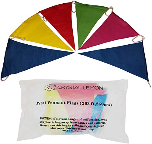 250pcs 263FT, Multicolor Pennant Flags, Nylon Fabric Decorations Grand Opening Banner Rope by Crystal Lemon