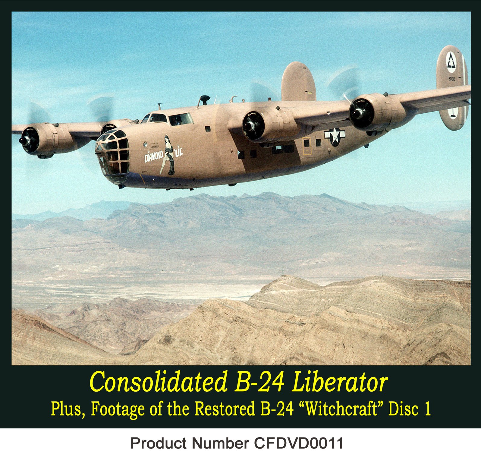 Air Force Consolidated B-24 Liberator WW2 Big Bomber old Films DVD
