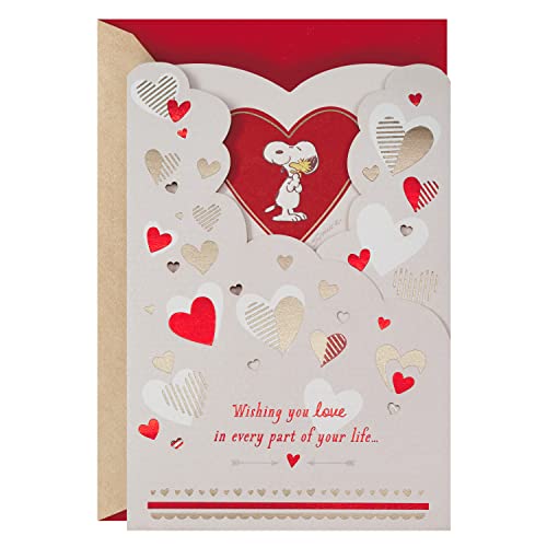 Hallmark Peanuts Valentine's Day Card (Snoopy Hugging Woodstock)