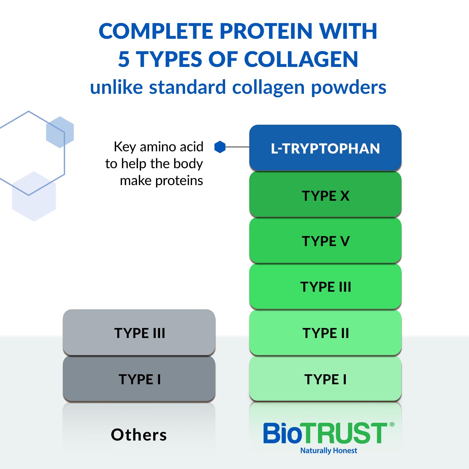 BioTrust Ageless Multi Collagen Peptides Powder – 5 Types (I, II, III, V, X) – Chocolate Collagen Powder for Women & Men – Hydrolyzed Protein – Grass Fed Beef, Fish, Chicken, Eggshell Membrane