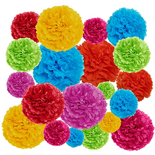 EPIQUEONE 20-Piece Paper Pom Poms Party Kit, Tissue Pom Pom Decorations; Birthday Party Decorations - Bridal Shower, Baby Shower, Bachelorette - Easy to Assemble and Install, Rainbow (Multicolor)