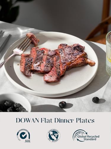 DOWAN 10.5” Moon-White Sesame Glaze Large Dinner Plates Set of 6, Porcelain Ceramic, Microwave, Oven & Dishwasher Safe, Elegant Design Perfect for Daily Dining, Family Gatherings, Parties & Gifts