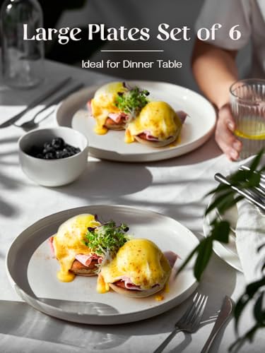 DOWAN 10.5” Moon-White Sesame Glaze Large Dinner Plates Set of 6, Porcelain Ceramic, Microwave, Oven & Dishwasher Safe, Elegant Design Perfect for Daily Dining, Family Gatherings, Parties & Gifts