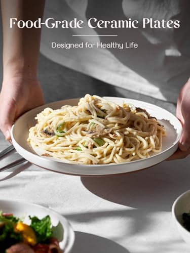 DOWAN 10.5” Moon-White Sesame Glaze Large Dinner Plates Set of 6, Porcelain Ceramic, Microwave, Oven & Dishwasher Safe, Elegant Design Perfect for Daily Dining, Family Gatherings, Parties & Gifts