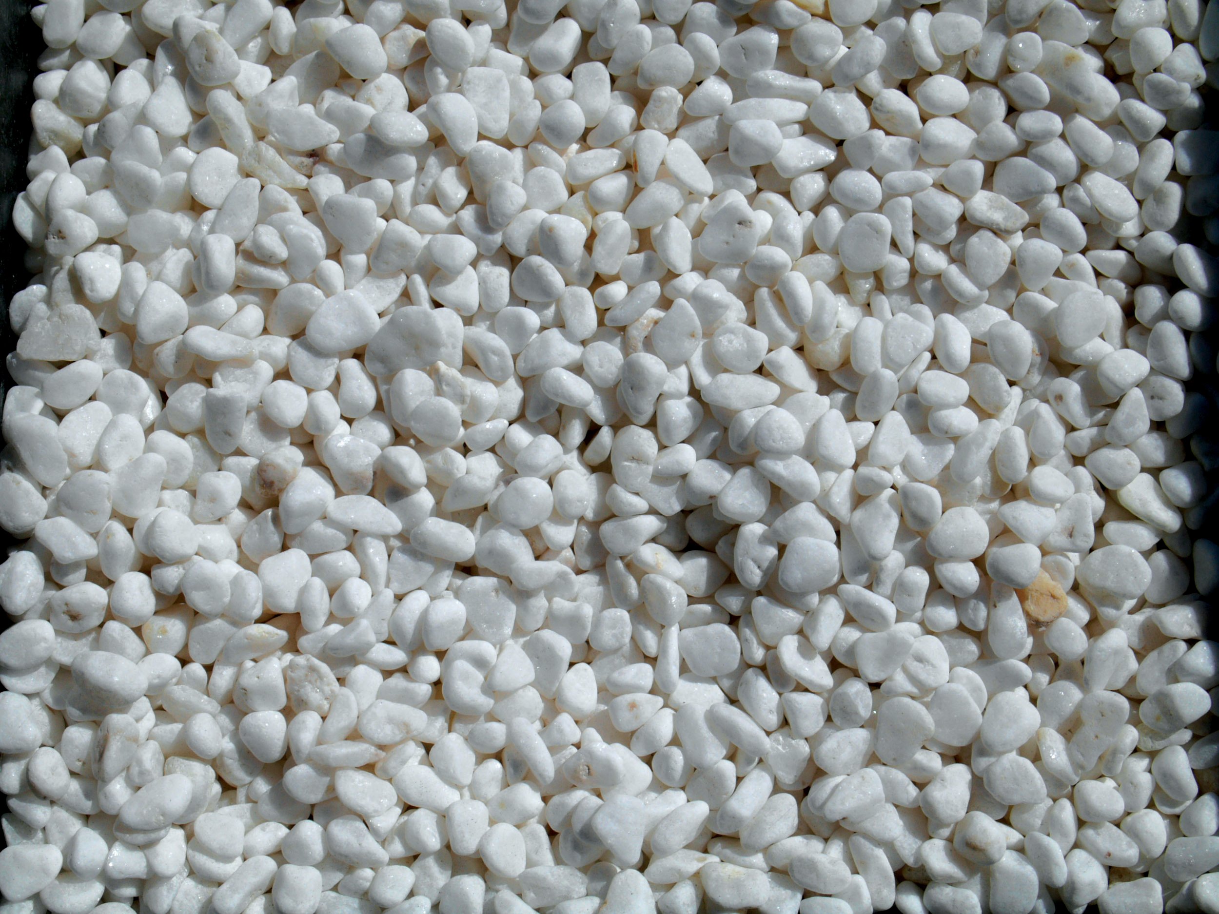 Exotic BPWS461 Bean Pebble, White, 5 Pounds