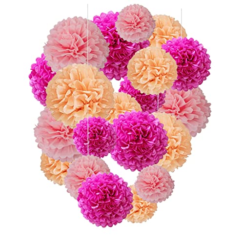 Pink Paper Pom Poms,10",12" Tissue Pom Poms for Bachelorette Baby Shower Girl Party Hanging Decorations - 12 PCS