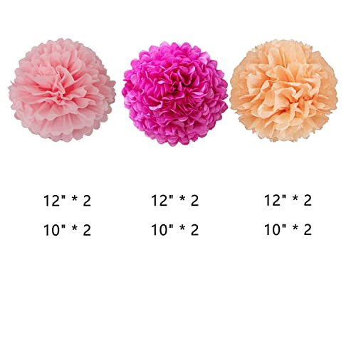 Pink Paper Pom Poms,10",12" Tissue Pom Poms for Bachelorette Baby Shower Girl Party Hanging Decorations - 12 PCS