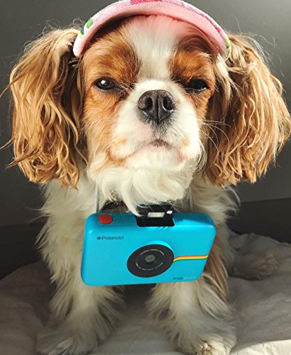 Zink Polaroid Snap Touch Portable Instant Print Digital Camera with LCD Touchscreen Display (Blue)