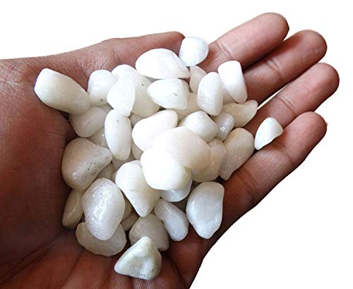VANNEF Stone Decorative Aquarium and Vase Fillers Pebbles for Garden and Home Decor (White, 4kg)