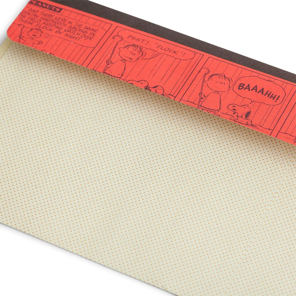 DaySpring - Peanuts That's What Christmas is All About Charlie Brown - 18 Premium Christmas Boxed Cards, KJV