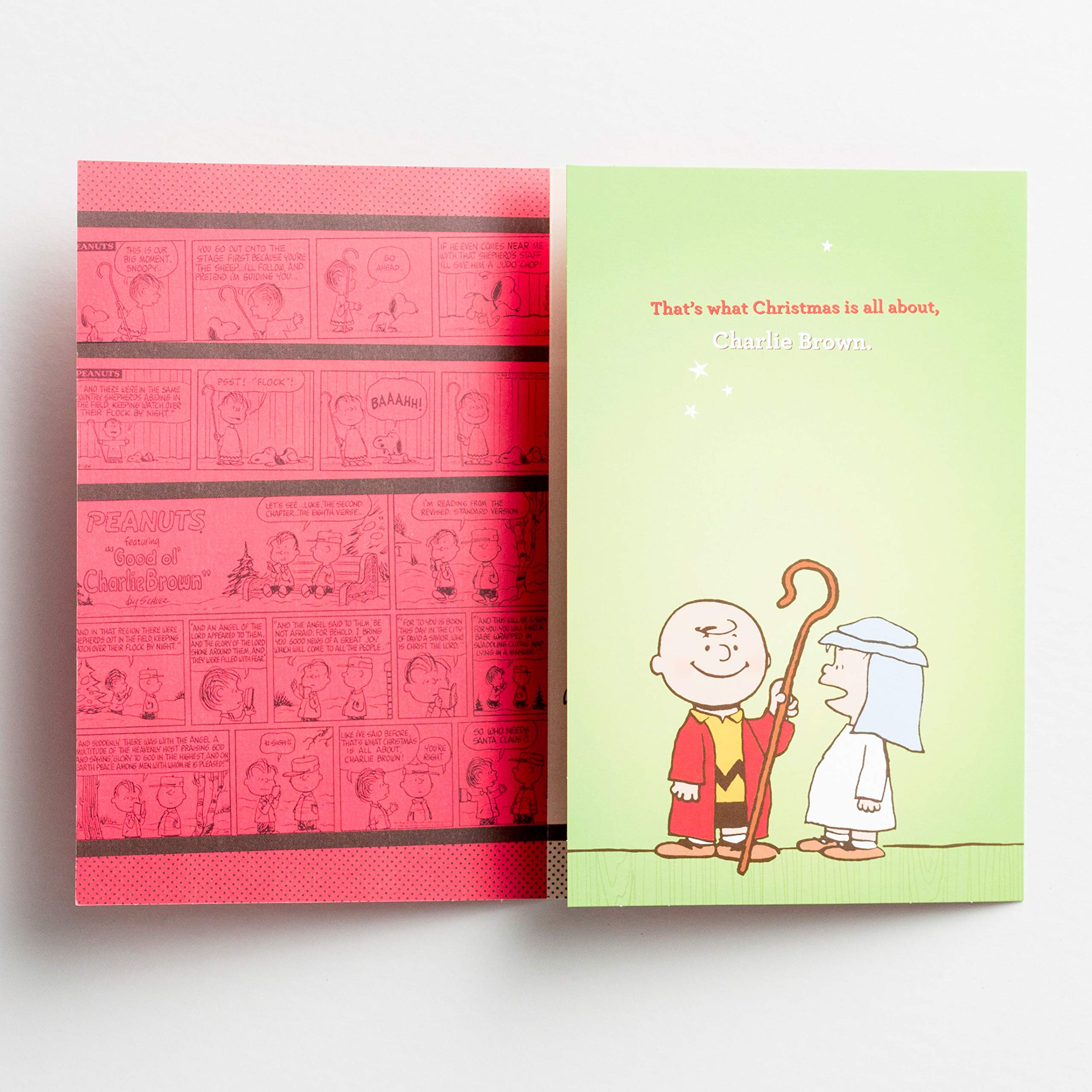 DaySpring - Peanuts That's What Christmas is All About Charlie Brown - 18 Premium Christmas Boxed Cards, KJV