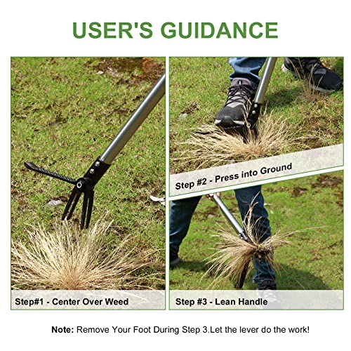 CALCHELE Garden Tool - 64" Stand Up Weed Puller Tool with Long Handle - Made with Stainless Steel & 4-Claw cast Steel Head Design - Easily Remove Weeds Without Bending, Pulling, or Kneeling