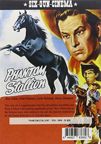 Phantom Stallion