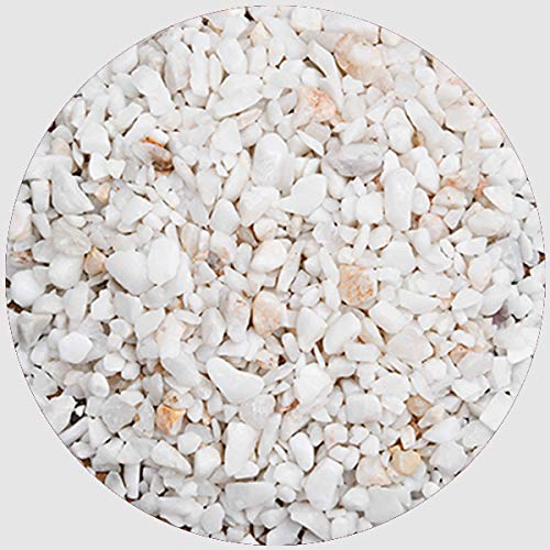eloria-Decor Polished Decorative Gravel Marble Chips Pebbles (White, Small, Polished) - 1 kg