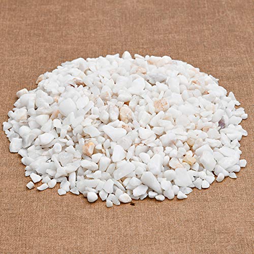 eloria-Decor Polished Decorative Gravel Marble Chips Pebbles (White, Small, Polished) - 1 kg