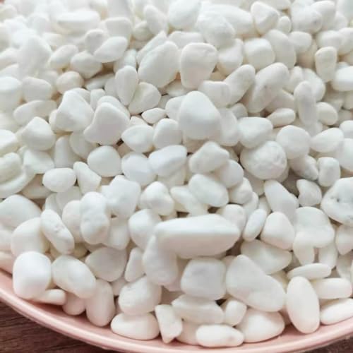 White Rock Pebbles 2.1lb Pumice Potting Soil Amendment - Succulent & Cactus Bonsai Gritty Rock Decorative Gravel Plant Drainage for Top Dressing & Fairy Gardening