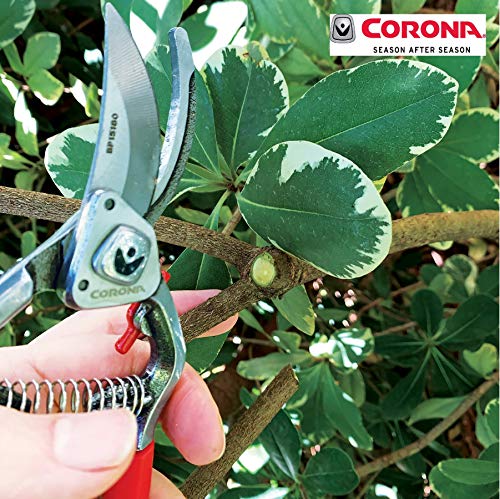 Corona Tools | ClassicCUT ClassicCUT® Branch & Stem Pruning Shears for Gardening | Cuts Branches and Stems up to 1-inch in Diameter | BP 15180