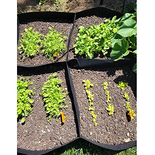 Fabric Raised Garden Bed 6x3x1ft Garden Grow Bed Bags for Growing Herbs, Flowers and Vegetables 128 Gallon