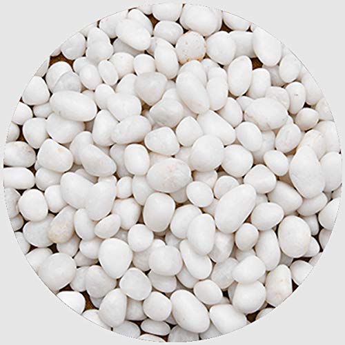 eloria-Decor Polished Decorative Gravel Super Marble Pebbles (White, Small, Polished) - 1 kg