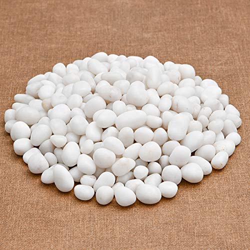 eloria-Decor Polished Decorative Gravel Super Marble Pebbles (White, Small, Polished) - 1 kg