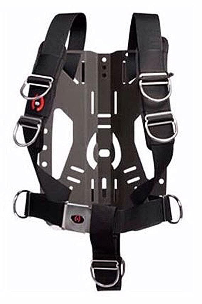 Hollis ST Travel Backplate System