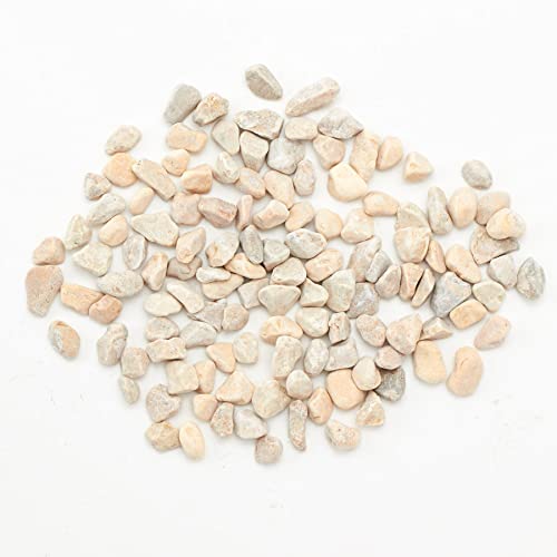 Simply Elegant River Rock Pebbles – Decorative Gravel Stones for Landscaping, Plants, Vases, Home Décor, Aquariums and Animal Habitats – 2.5 LB Bag - ¼L to ½L - White
