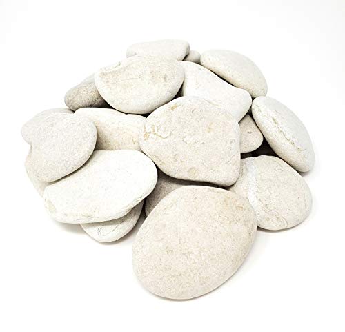 Garden Rocks (White) - Landscaping Rocks For Garden And Landscape Design - 5 Pounds (About 25 Rocks)