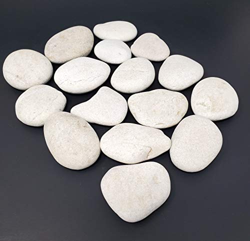 Garden Rocks (White) - Landscaping Rocks For Garden And Landscape Design - 5 Pounds (About 25 Rocks)