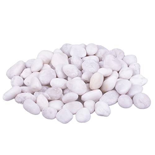 HOT SEAL 2.0 lb White River Rock Stones 1~1.5", Natural Decorative Highly Polished Pebbles, Indoor Decorative Stones for Plant, Aquariums, Landscaping, Garden Flower Bed, Vase Fillers