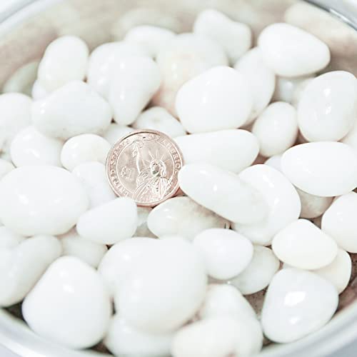 Doter Pebbles Polished Gravel 2.2 LBS, 0.4" - 1.2" Natural Polished White Pebble Stones, Small Decorative River Rock Stones
