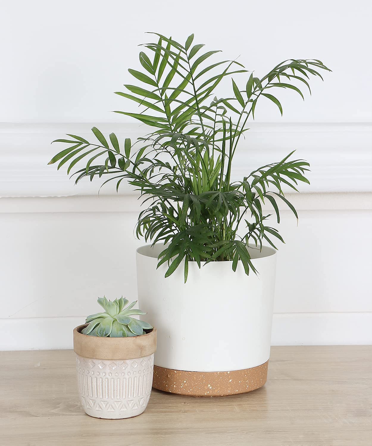 Kubvici 2 Pack 8 inch Planters