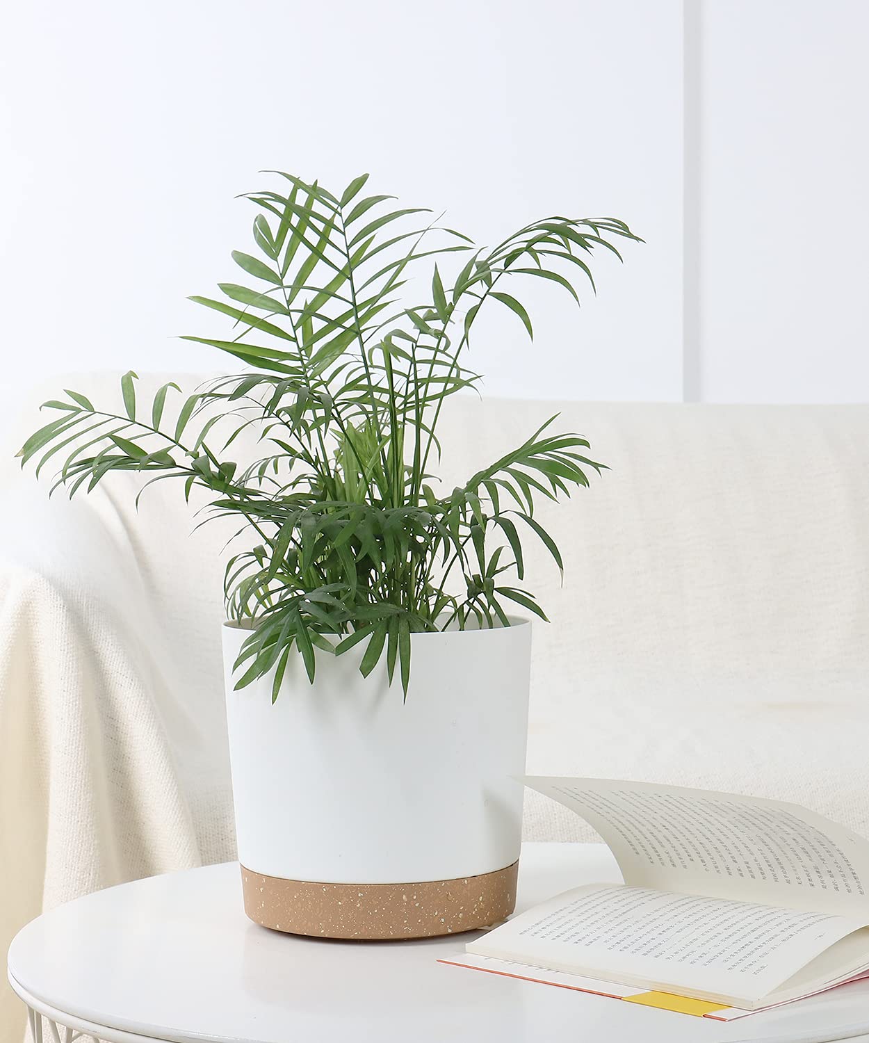Kubvici 2 Pack 8 inch Planters