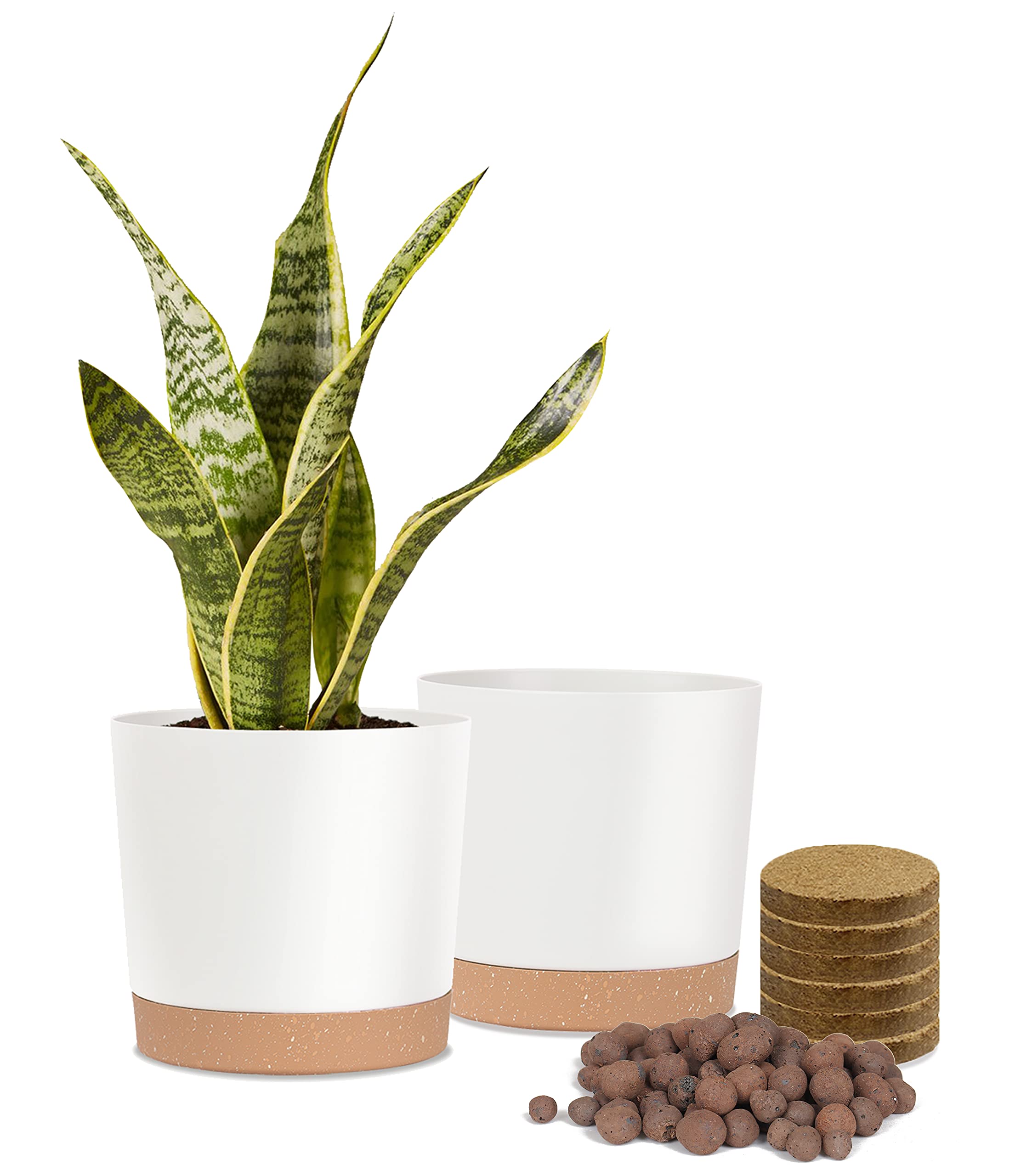 Kubvici 2 Pack 8 inch Planters