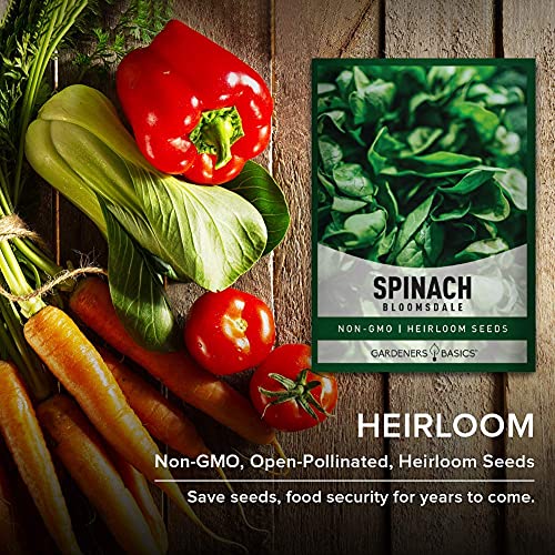 Bloomsdale Spinach Seeds for Planting is A Great Heirloom, Non-GMO Vegetable Variety- Great for Indoor, Outdoor and Hydroponics Gardening by Gardeners Basics