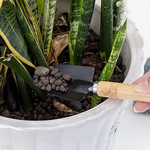 Hand Shovel for Gardening Trowel Garden Tool - 3Pcs Gardening Set of Tools Small Garden Rake Ergonomic Garden Hand Tools Wood Handle Gardening Tool 3 Piece - Gardening Tools Heavy Duty Garden Tool Set