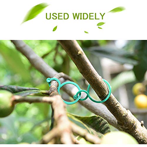 Plant Twist Clip Ties Garden Plant Support Clips Vegetables Tomato Vine Flower Clips Plant Locks for Securing Plants(100 Pcs )