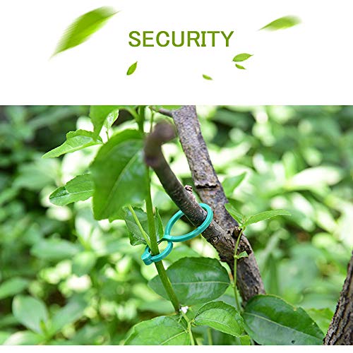 Plant Twist Clip Ties Garden Plant Support Clips Vegetables Tomato Vine Flower Clips Plant Locks for Securing Plants(100 Pcs )