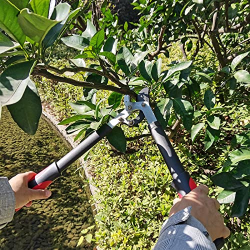 Lopper Heavy Duty Branch Cutter, YRTSH Tree Clippers with Compound Action, Chops Thick Branch Ease, Garden Loppers Pruning, 18 Inch Tree Trimmer with 1.6β Clean Cut Capacity (18 Inch)