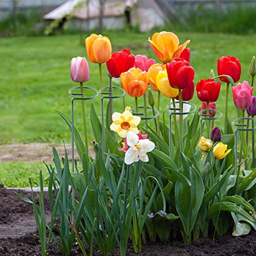Thealyn 12 Pack 18 Inch Plant Support Stakes, Metal Single stemmed Flower Support Hoops,Garden Plant Stakes Plant Prop for Amaryllis Orchid Lily Rose Peony Tomatoes Gladiolus