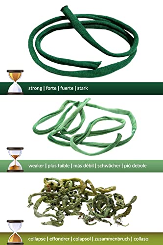 Biostretch Soft Plant Ties for Climbing Plants (Stretchy Green Garden Twine and Plant String - Olive Bio Roll X 1)
