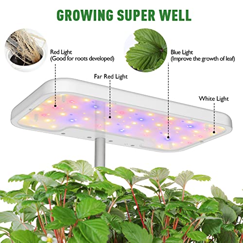 Indoor Garden Hydroponic Growing System: Ahopegarden Plant Germination Kit Aeroponic Herb Vegetable Growth Lamp Countertop with LED Grow Light - Hydrophonic Planter Grower Harvest Veggie Lettuce
